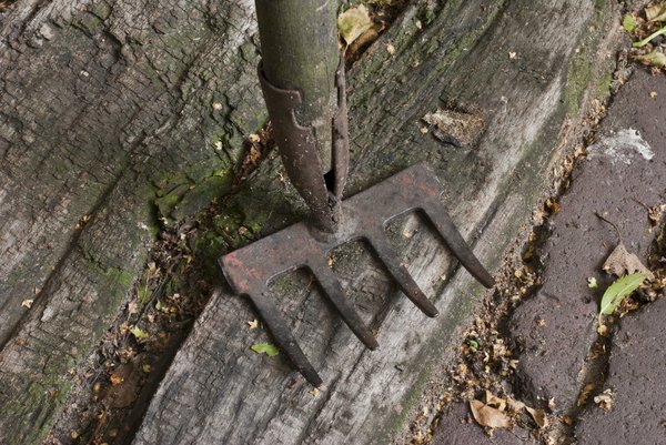 OUTILS ANCIENS - ART POPULAIRE : RATEAU 4,5 KILOS