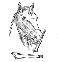 OUTILS ANCIENS - ART POPULAIRE :: morailles (résolu)