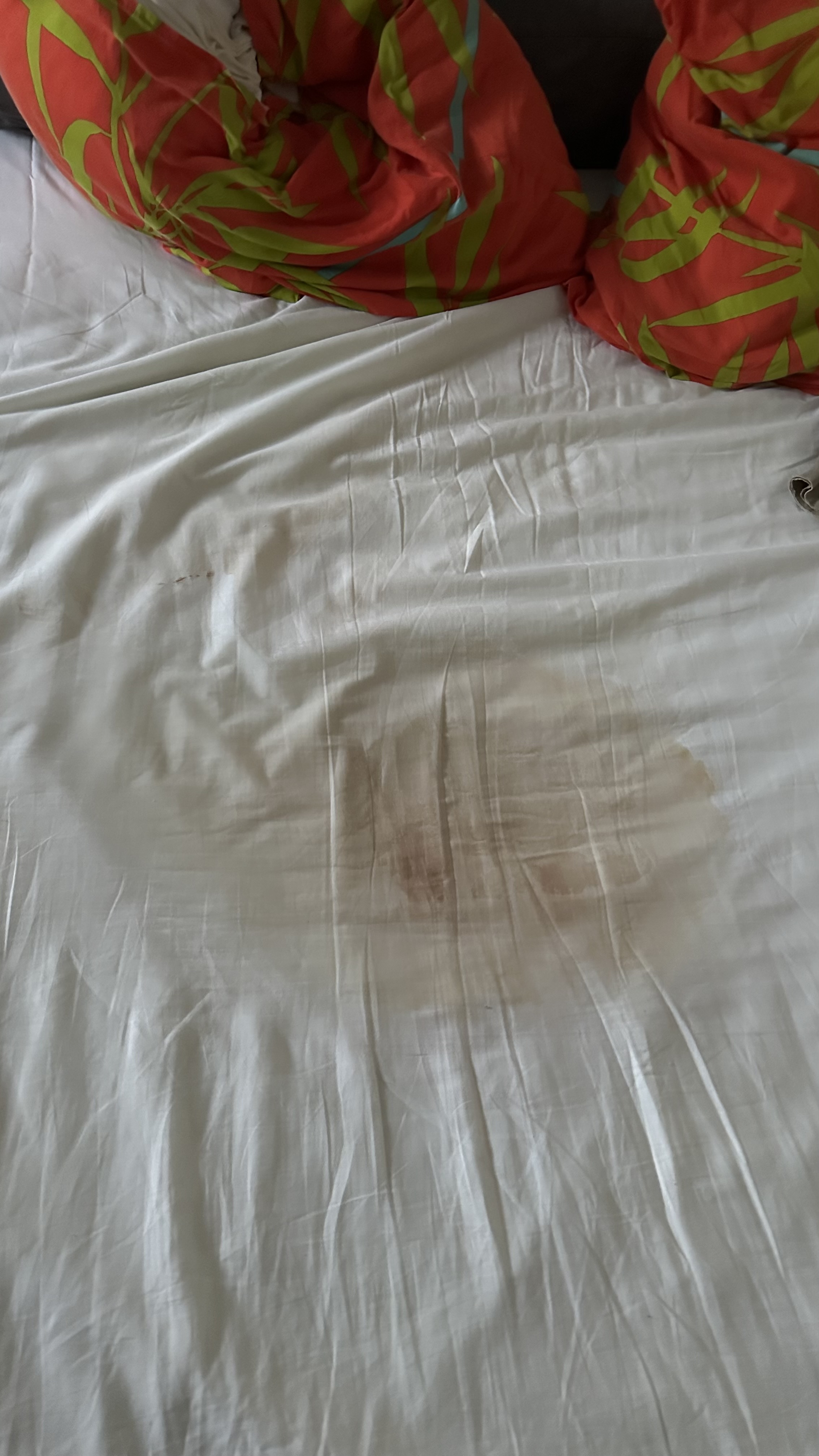 Forum caca culotte/caca couches : pipi au lit de cacadansmaculotte