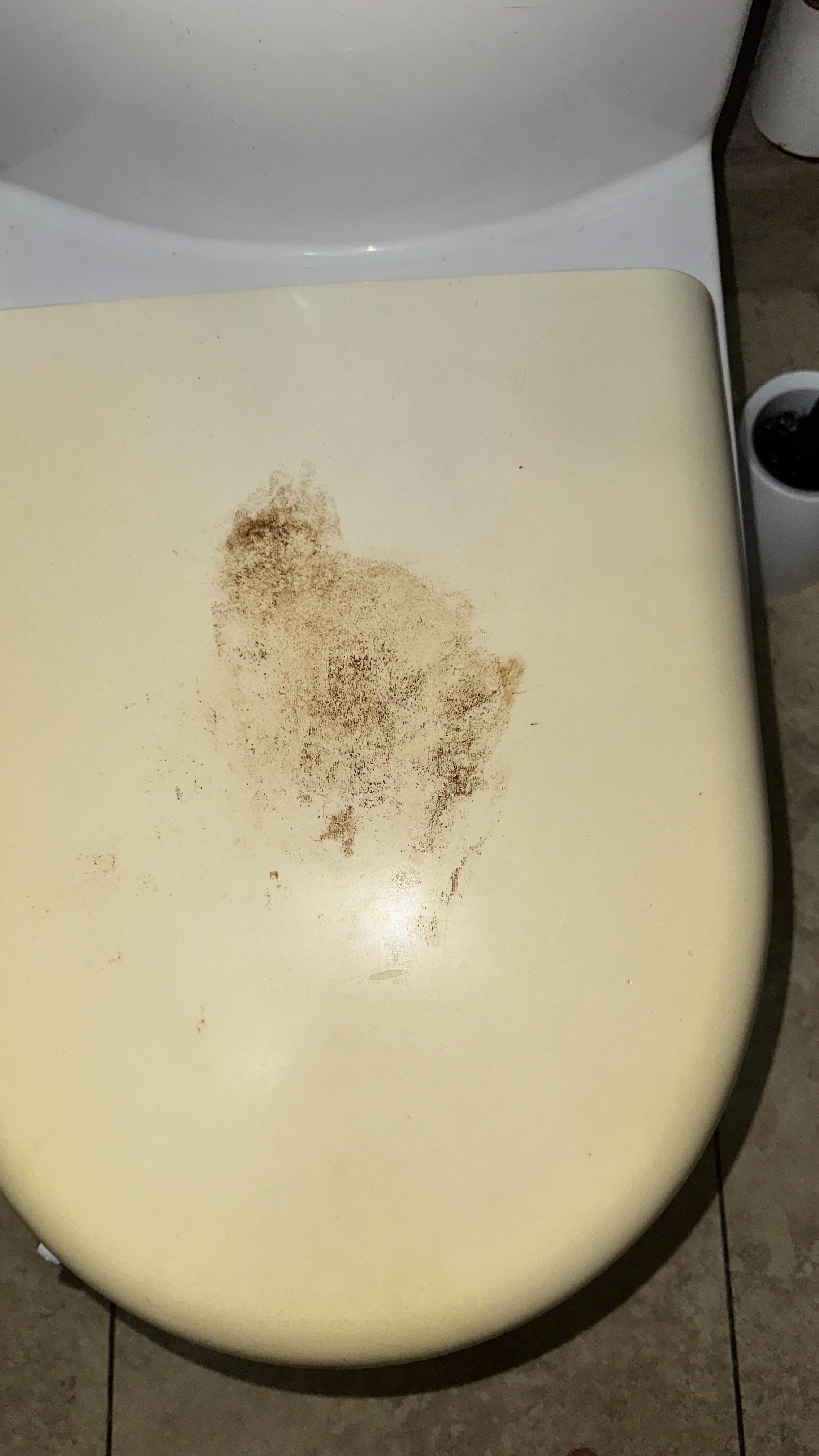 Forum caca culotte/caca couches : Caca culotte de cacadansmaculotte