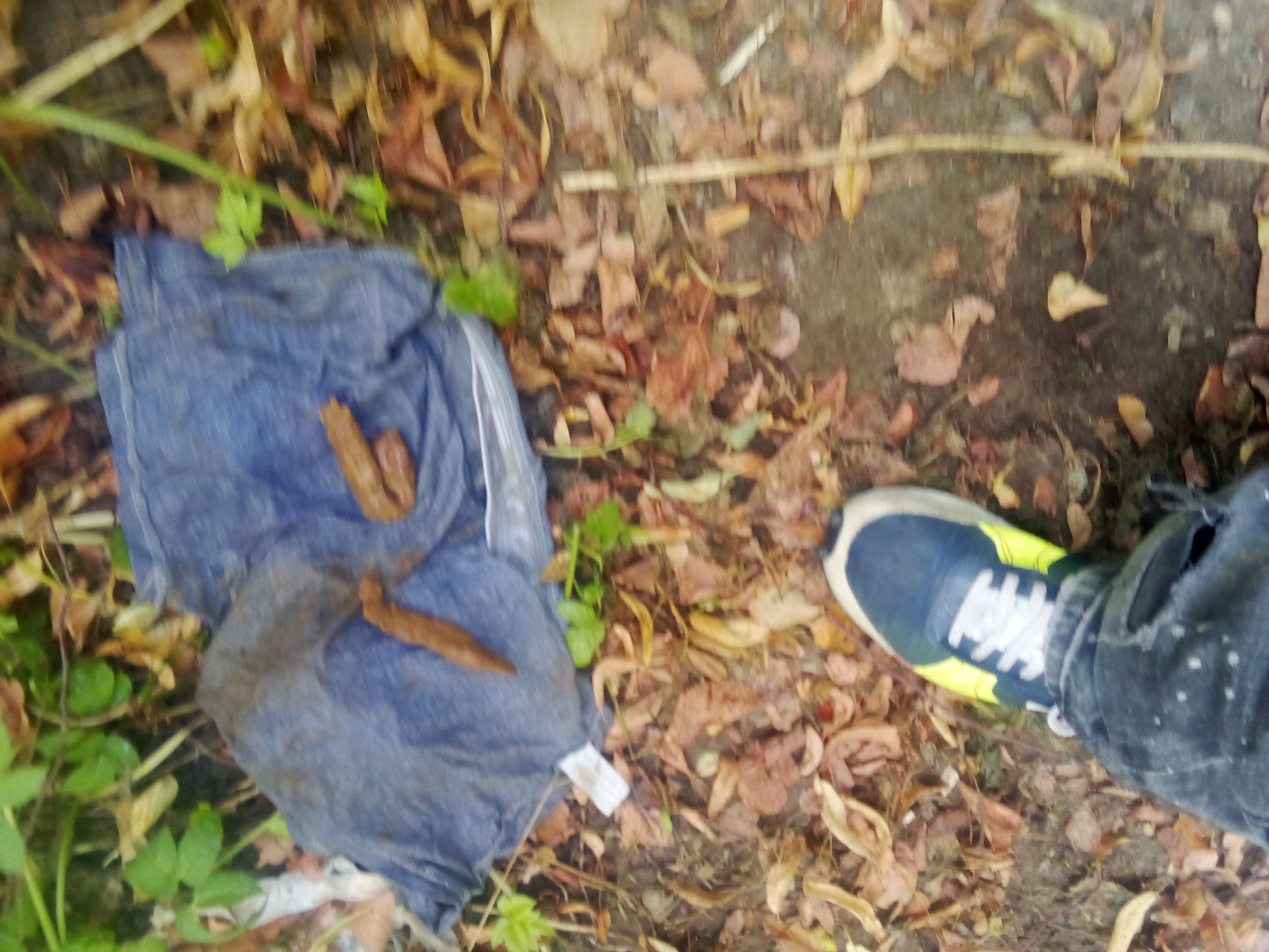 Forum caca culotte/caca couches : Caca culotte