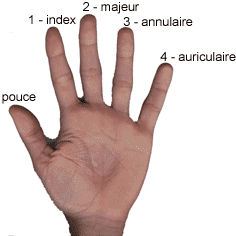 Cours n°2 : La Chiromancie