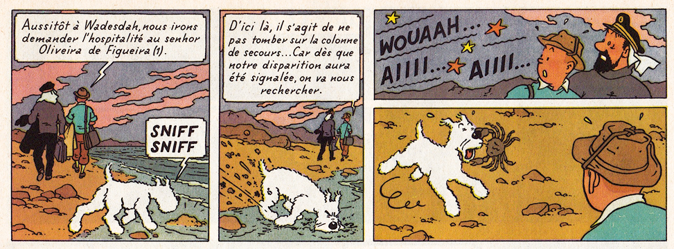 Les Aventures de Tintin : Devinette : dans quel album...