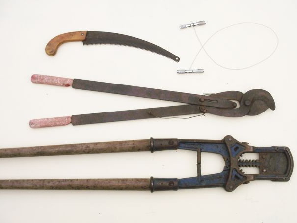 OUTILS ANCIENS - ART POPULAIRE : Coupe-cornes des bovins