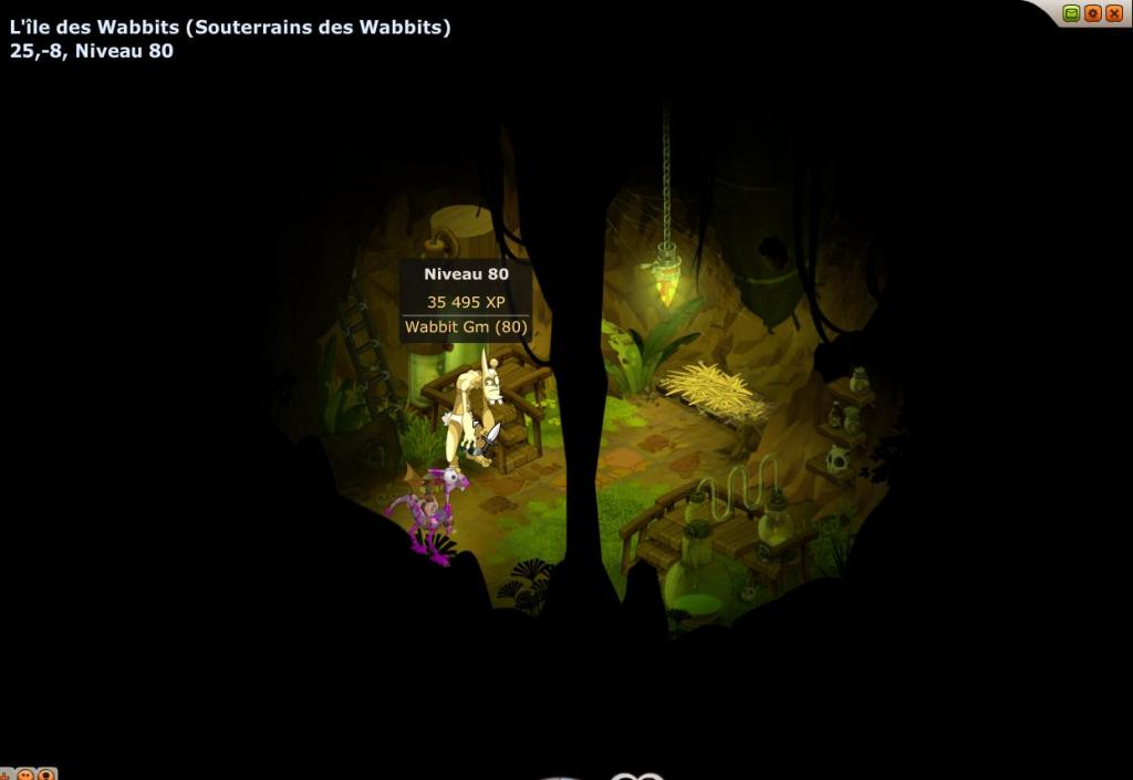 Dofus map wabbit gm